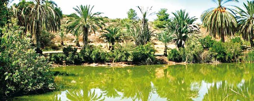 Descobrindo o Israel Bíblico - Morasha