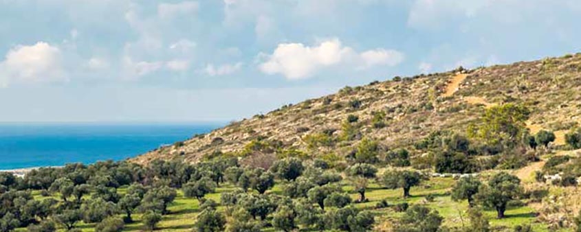 Ein Hod, el pueblo de Israel donde el arte invade las calles - Morashá